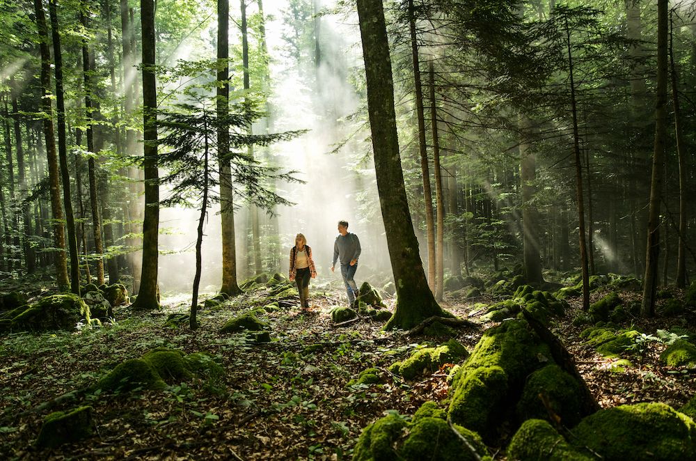 A Wild Side of Slovenia