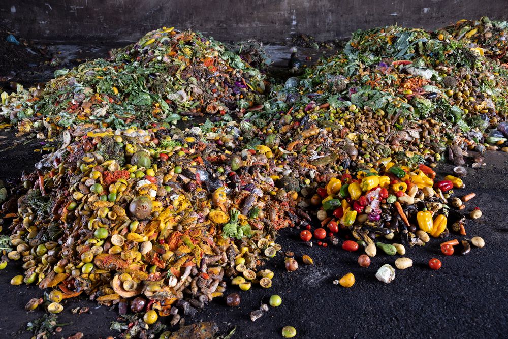 Global-Methane-Hub-food-waste-power-circular-economy-rio-de-janeiro