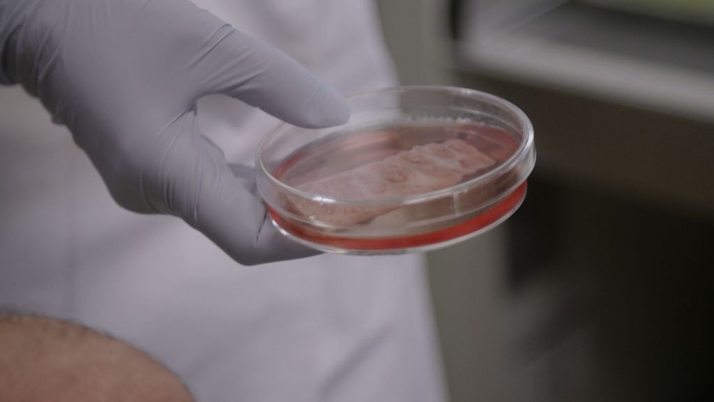 Japan: Creating the first wagyu beef in a lab - BBC Reel