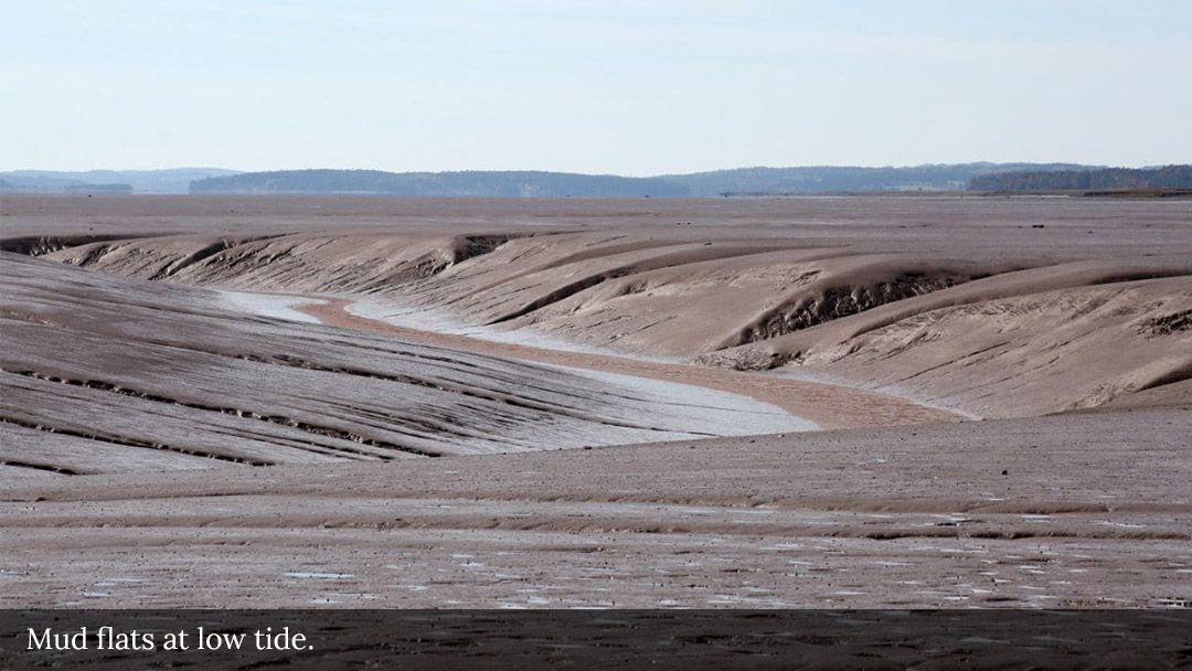 The Phenomenal Bay of Fundy