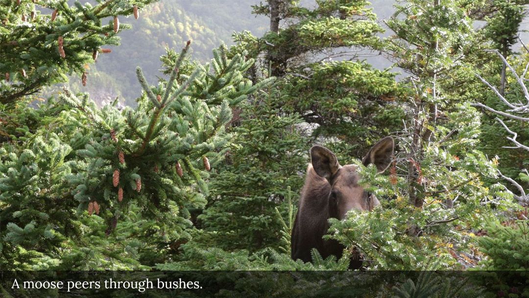 Cabot Trail Drive is a Quest for the Best