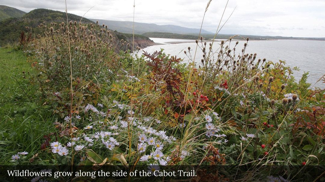 Cabot Trail Drive is a Quest for the Best