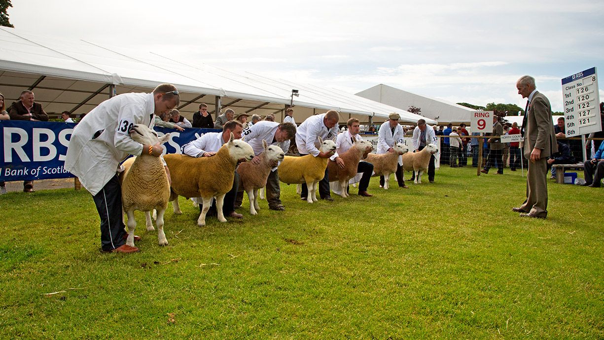 Royal Highland Show Logo Royal Highland Show British Guild Of