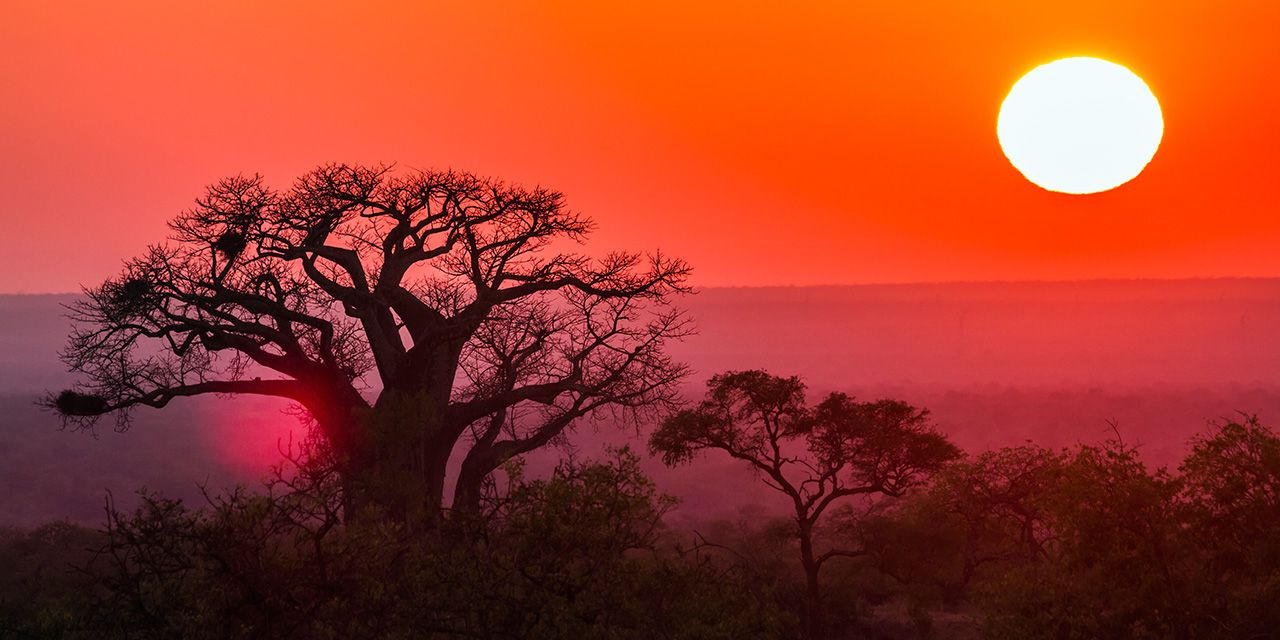 Upside Down Tree Meaning Should You Turn Your Christmas Tree Upside