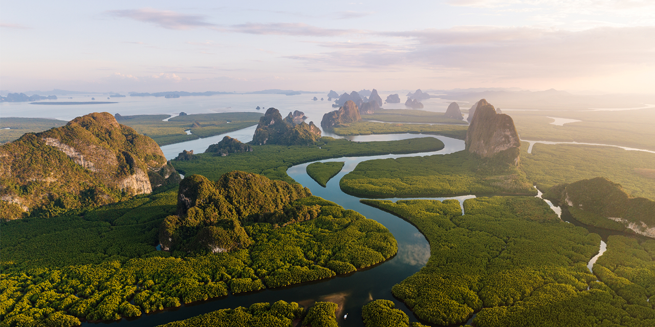 Appreciating nature's wonder on International Biodiversity Day Article