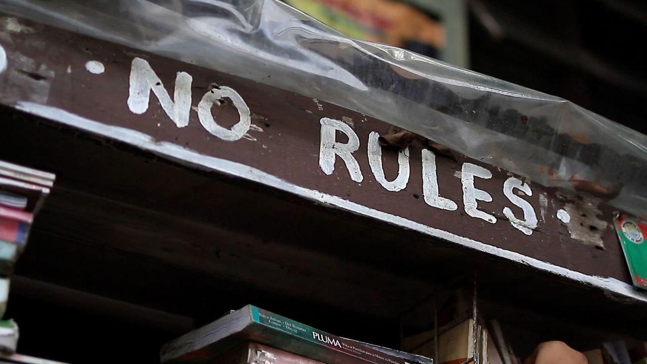 Biblioburro: The amazing donkey libraries of Colombia - BBC Reel