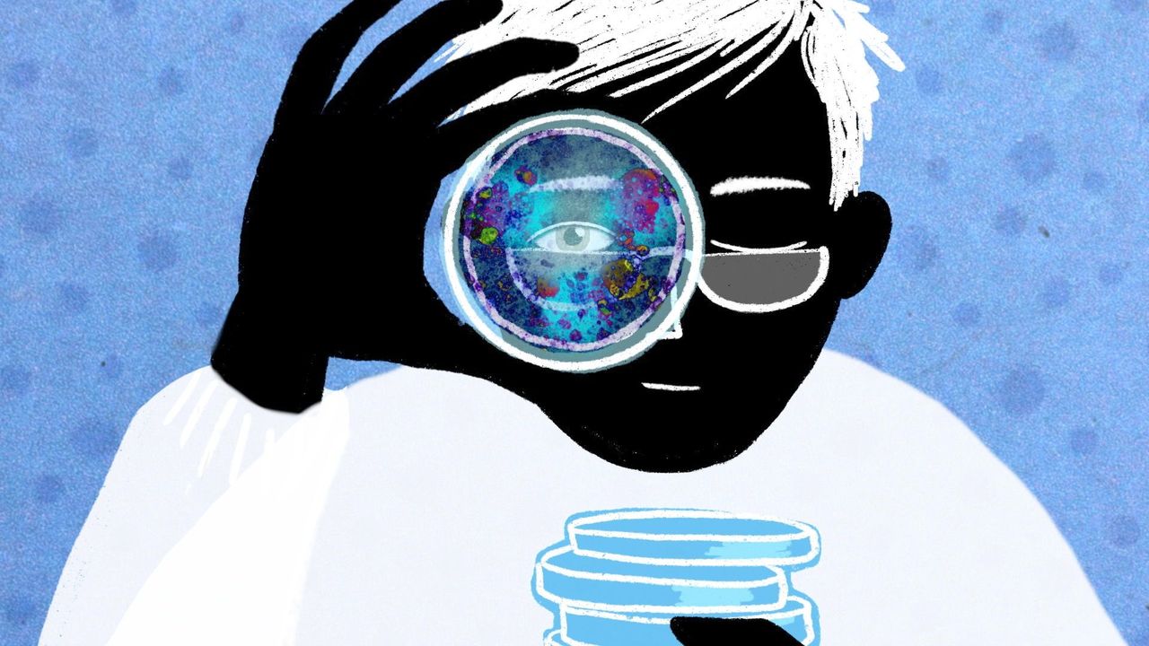 Octopus: The thief of the deep - BBC Reel