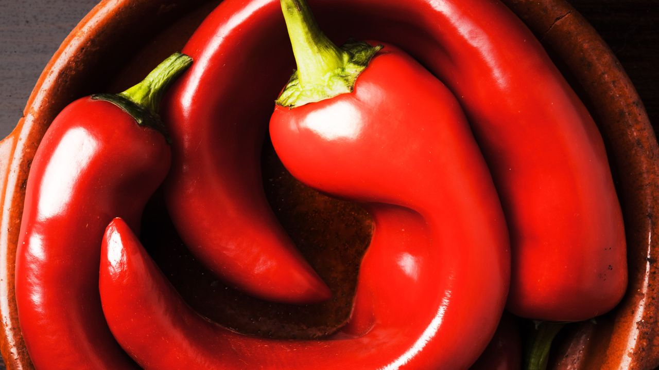 Why soil is disappearing from farms - BBC Reel