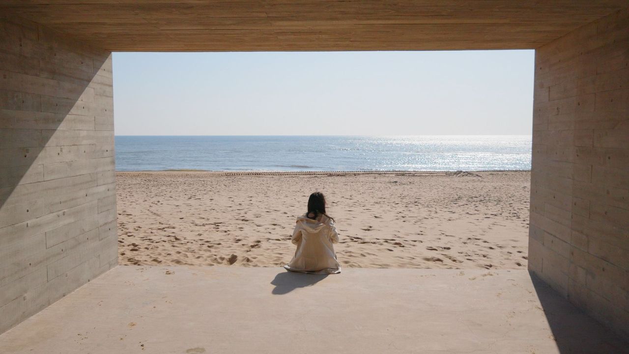 Biblioburro: The amazing donkey libraries of Colombia - BBC Reel