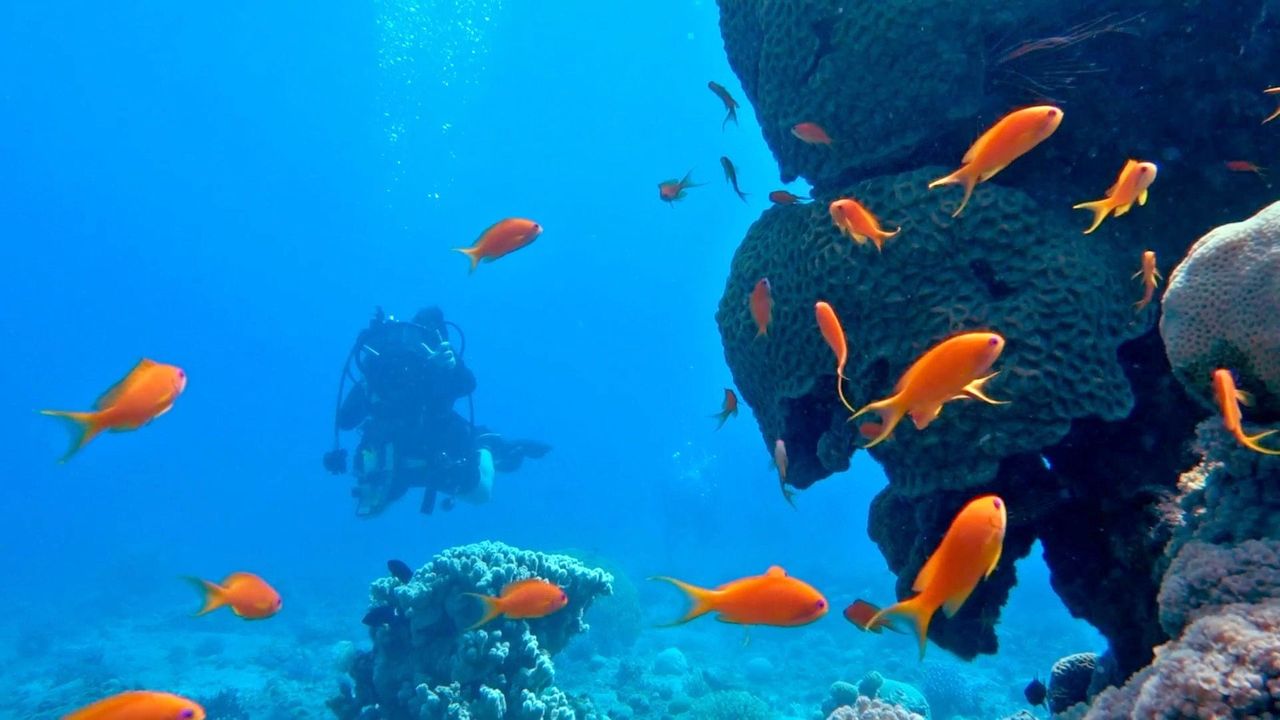 Japan's mysterious 'Dragon Eye' lake - BBC Reel