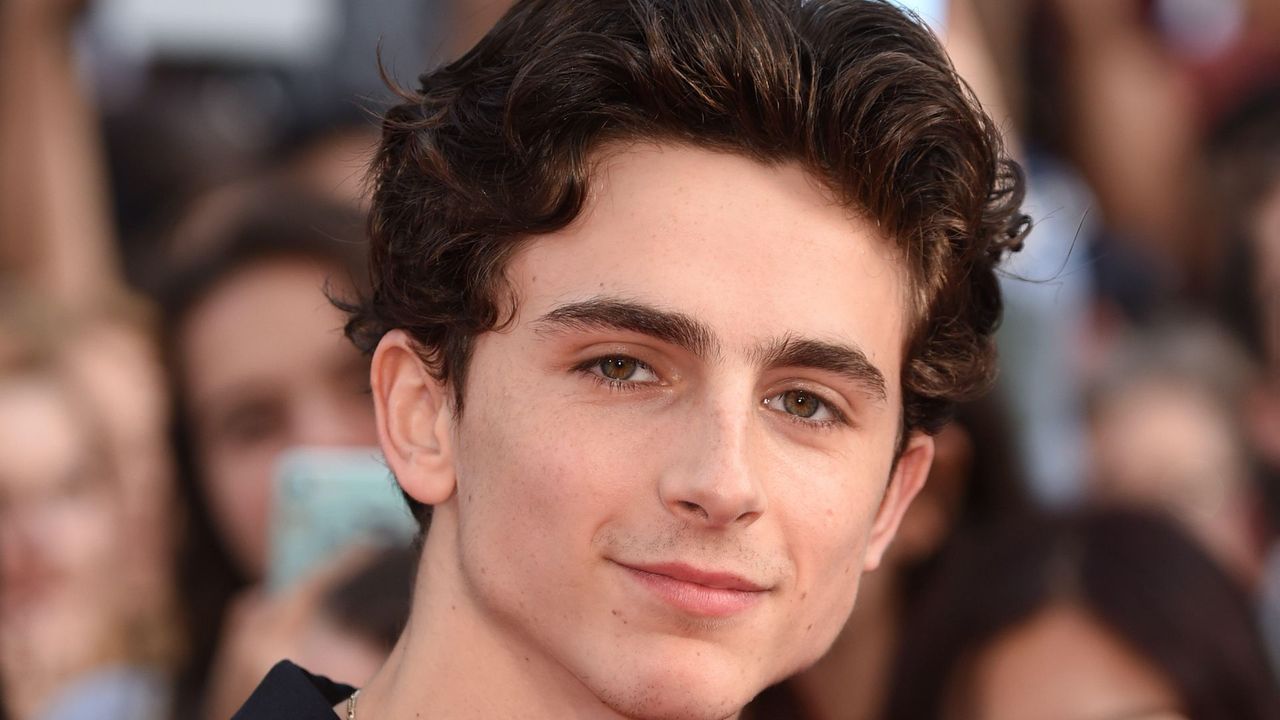 Timothée Chalamet and Hollywood heartthrobs through the ages - BBC Culture