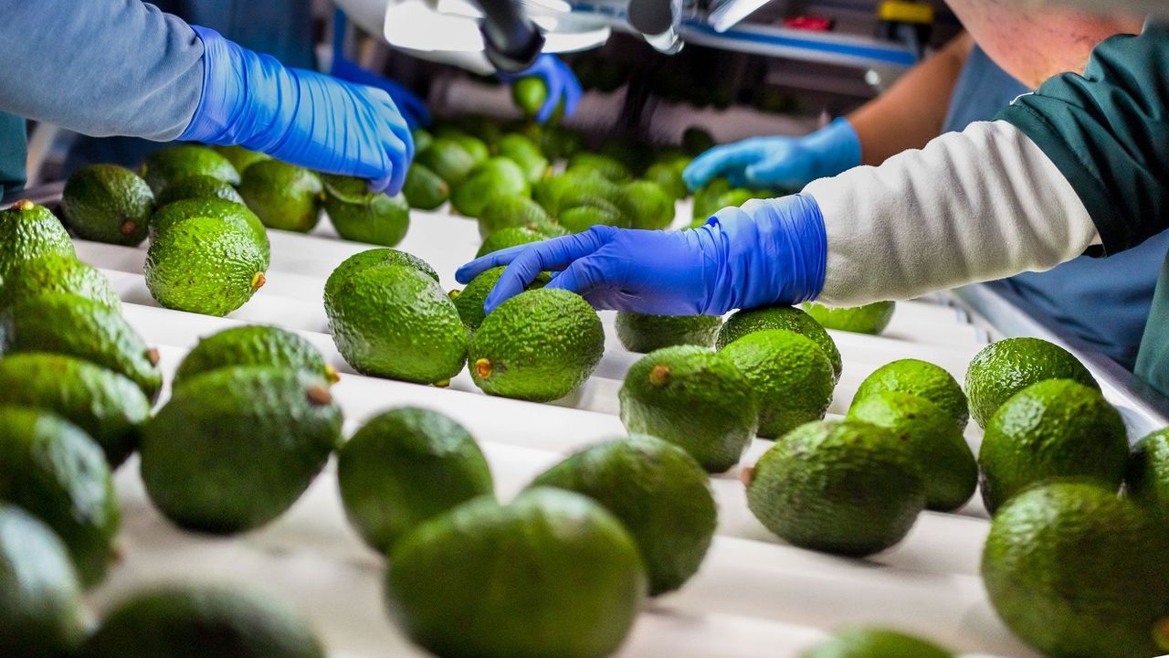 Why soil is disappearing from farms - BBC Reel