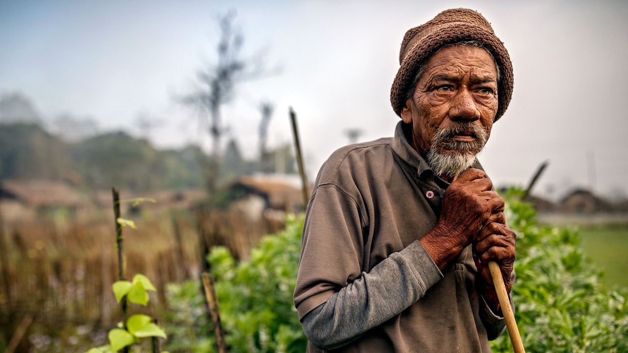 How to grow food in an urban jungle - BBC Reel