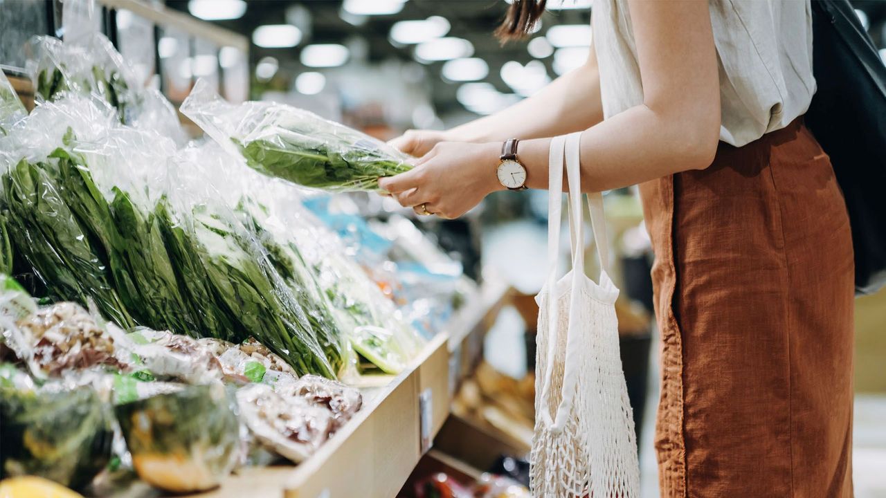 The fight to improve food security - BBC Reel