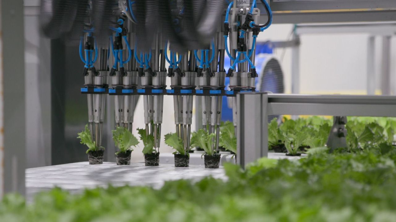 The first fully automated farms - BBC Reel