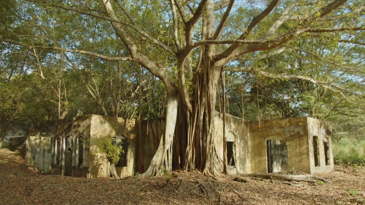 Inside the abandoned city of ancient libraries - BBC Reel