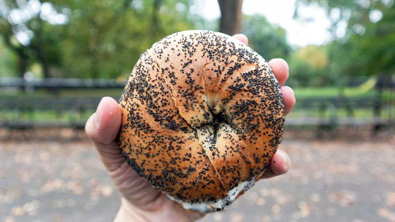 The eight best bagels in NYC according to the city s Bagel Ambassador