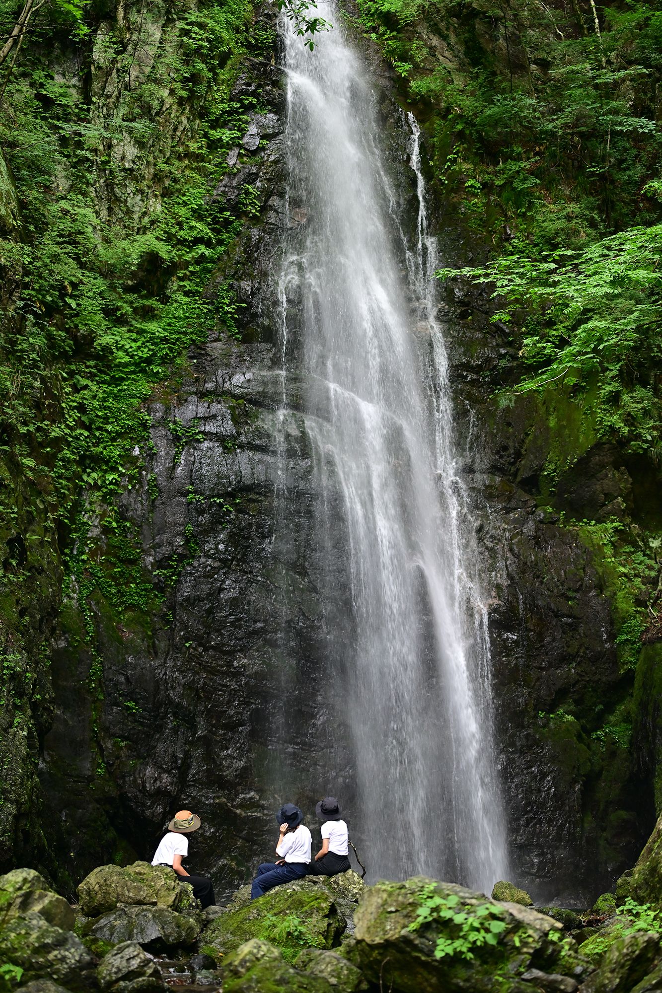 Escape Japan's crowds, discover Tokyo's neighbouring treasures: Greater ...