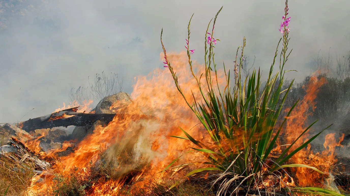 The world’s hottest hotspot - BBC Reel