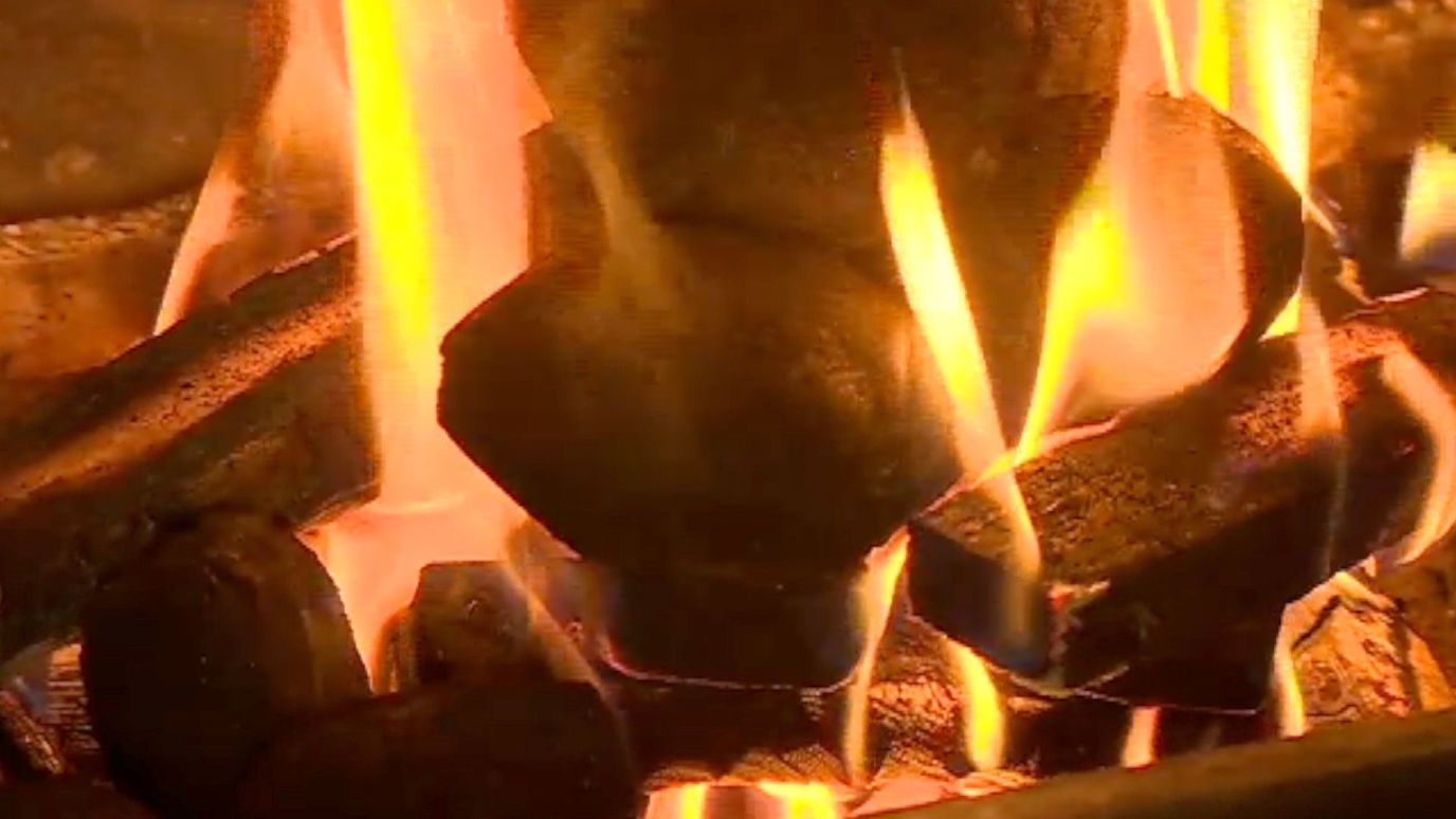 Were humans cooking a million years ago? - BBC Reel