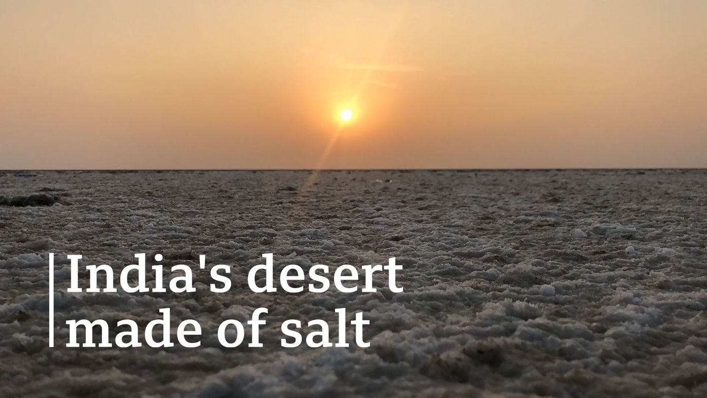 India's extraordinary salt desert - BBC Reel
