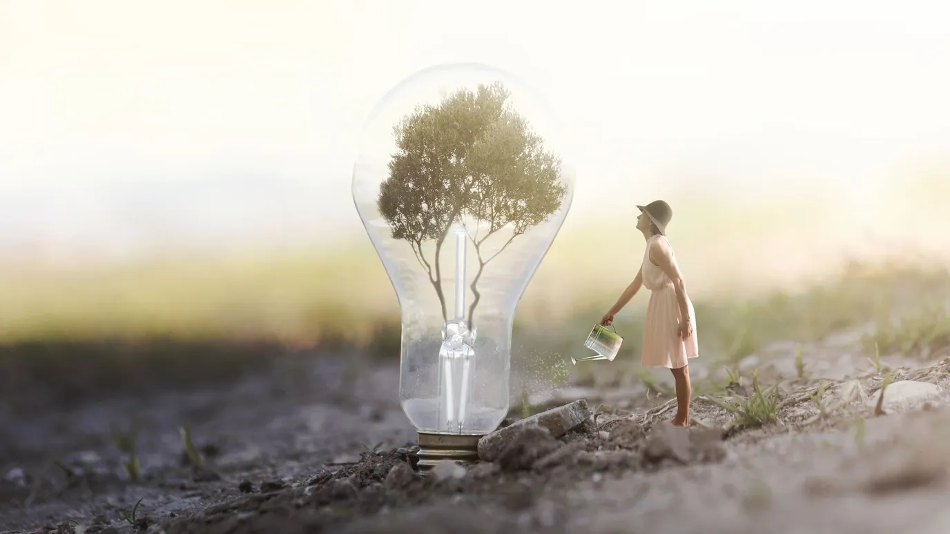 'Should we create new life if we can't protect what exists?' - BBC Reel