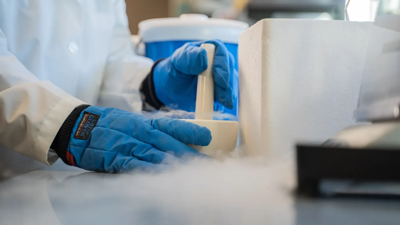 Cracking the code - BBC Reel