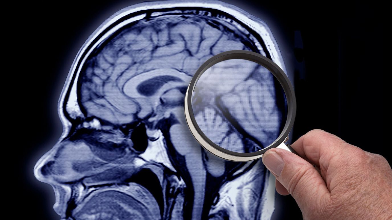 Why it's good to let your mind wander - BBC Reel