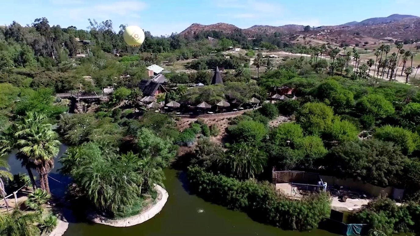 Inside the Frozen Zoo bringing animals back from extinction - BBC Reel