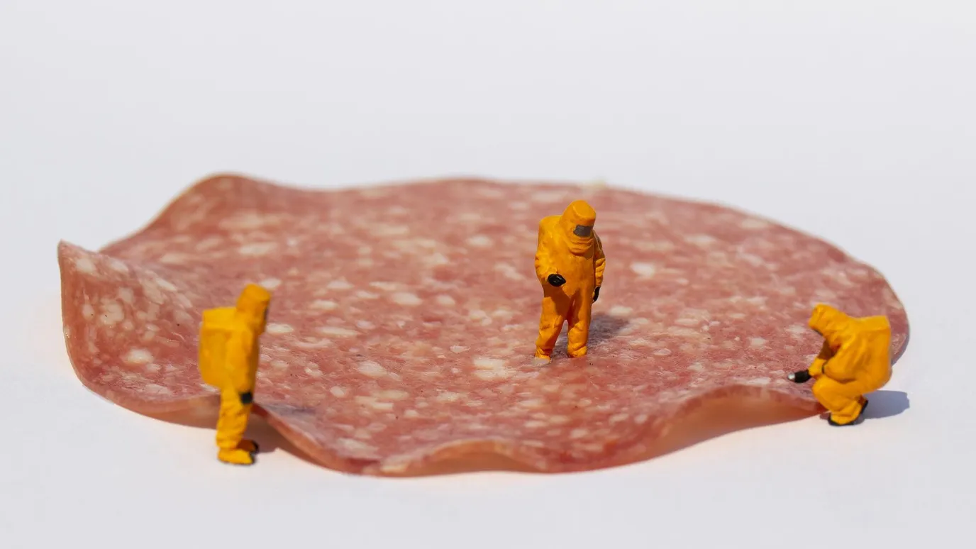 The truth about lab-grown meat - BBC Reel