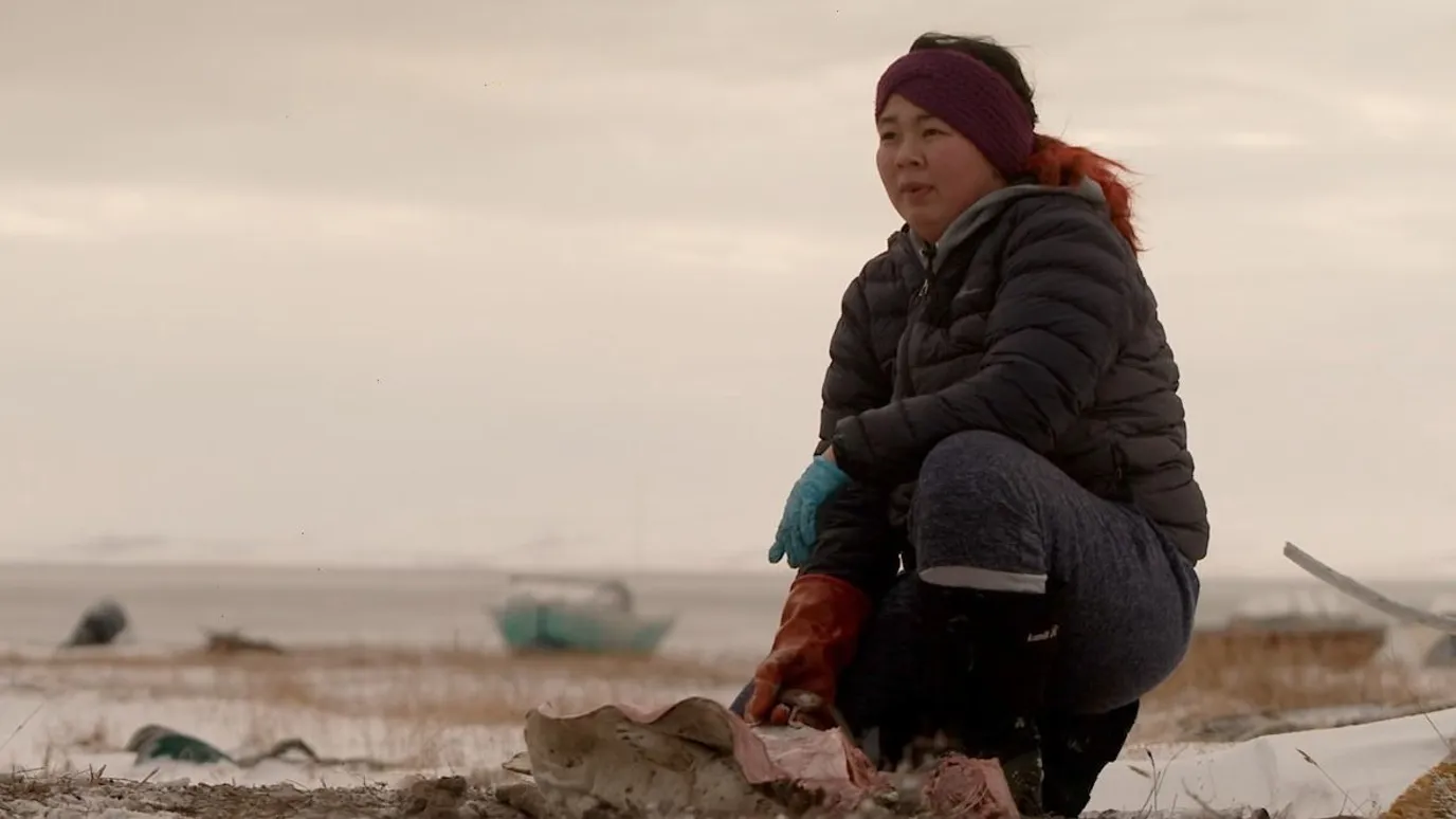 What Alaska's shrinking island means for all of us - BBC Reel