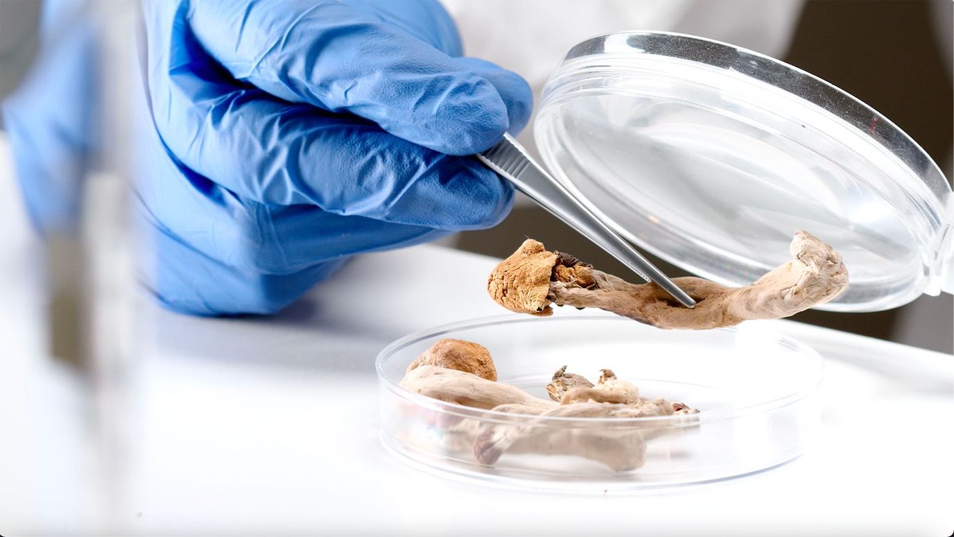 Can 'magic mushrooms' and MDMA cure depression? - BBC Reel