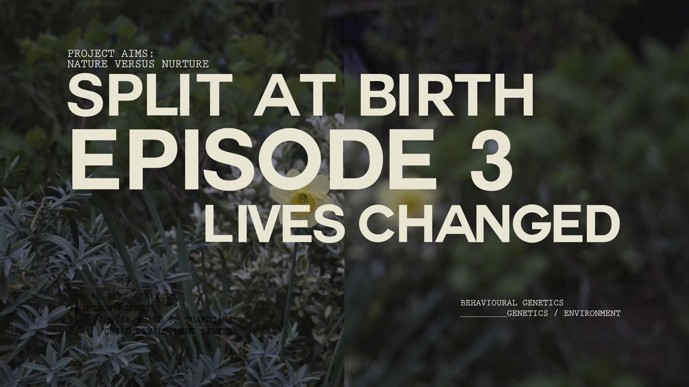 What happened after twins were separated for science? - BBC Reel