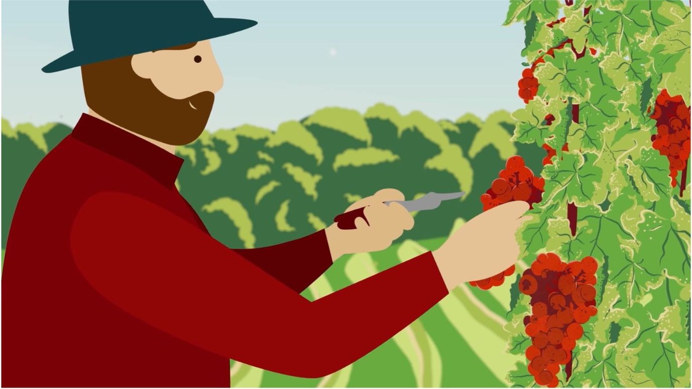 Syngenta Biologicals and biocontrols for crop protection