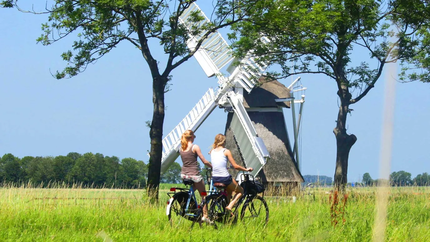 World Bicycle Day: How to stay healthy like the Dutch - BBC Reel
