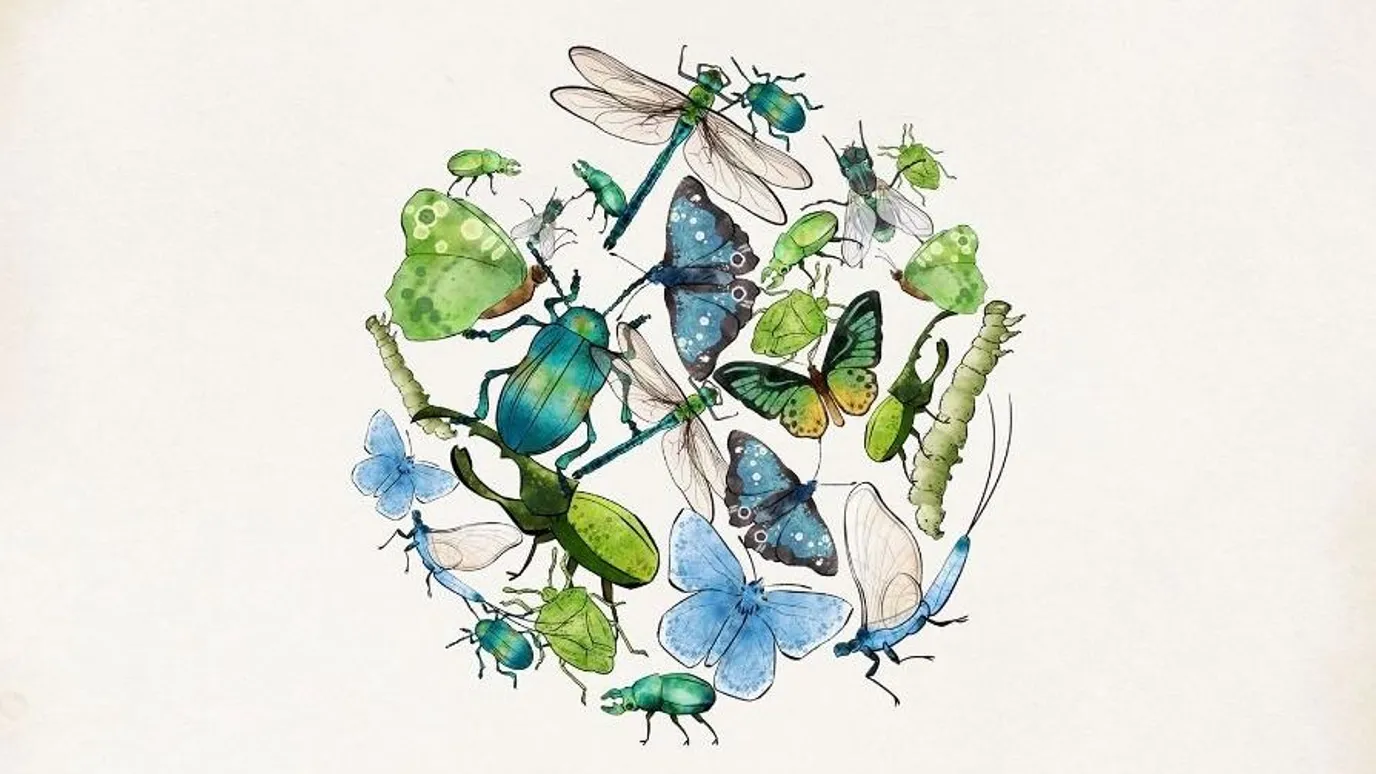 Why insects are so crucial to life on Earth - BBC Reel