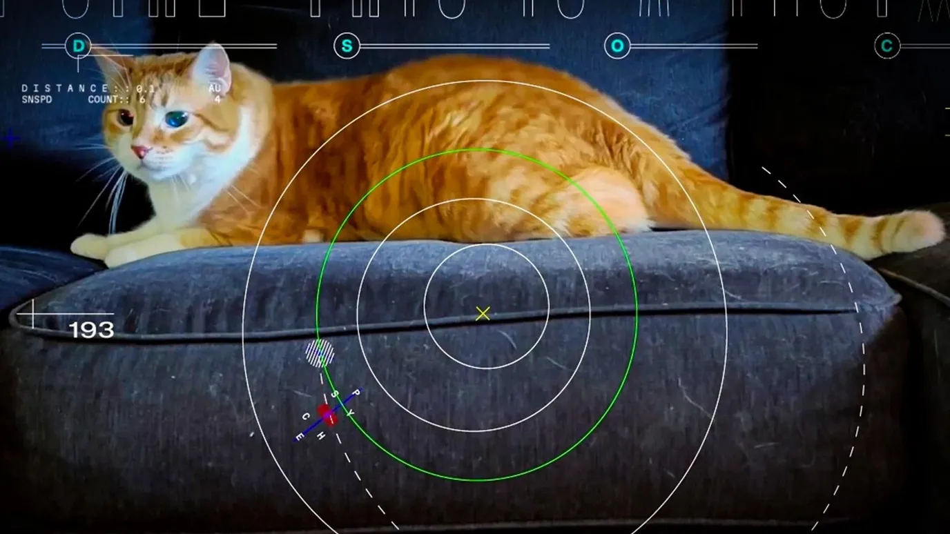 Why Nasa beamed this cat video 19 million miles - BBC Reel