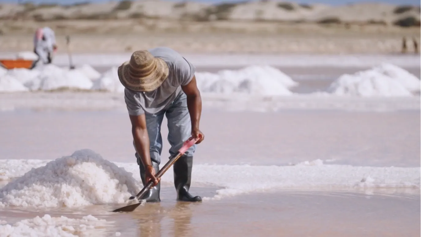 Cape Verde's stunning salt mines - BBC Reel