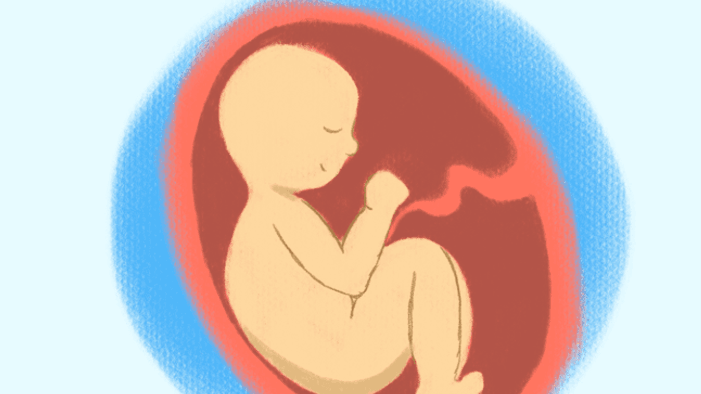 How immunisation helps protect new lives