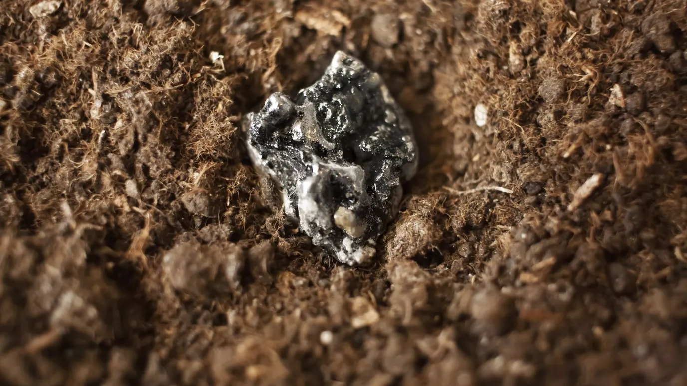 Quick Takes - BBC Reel