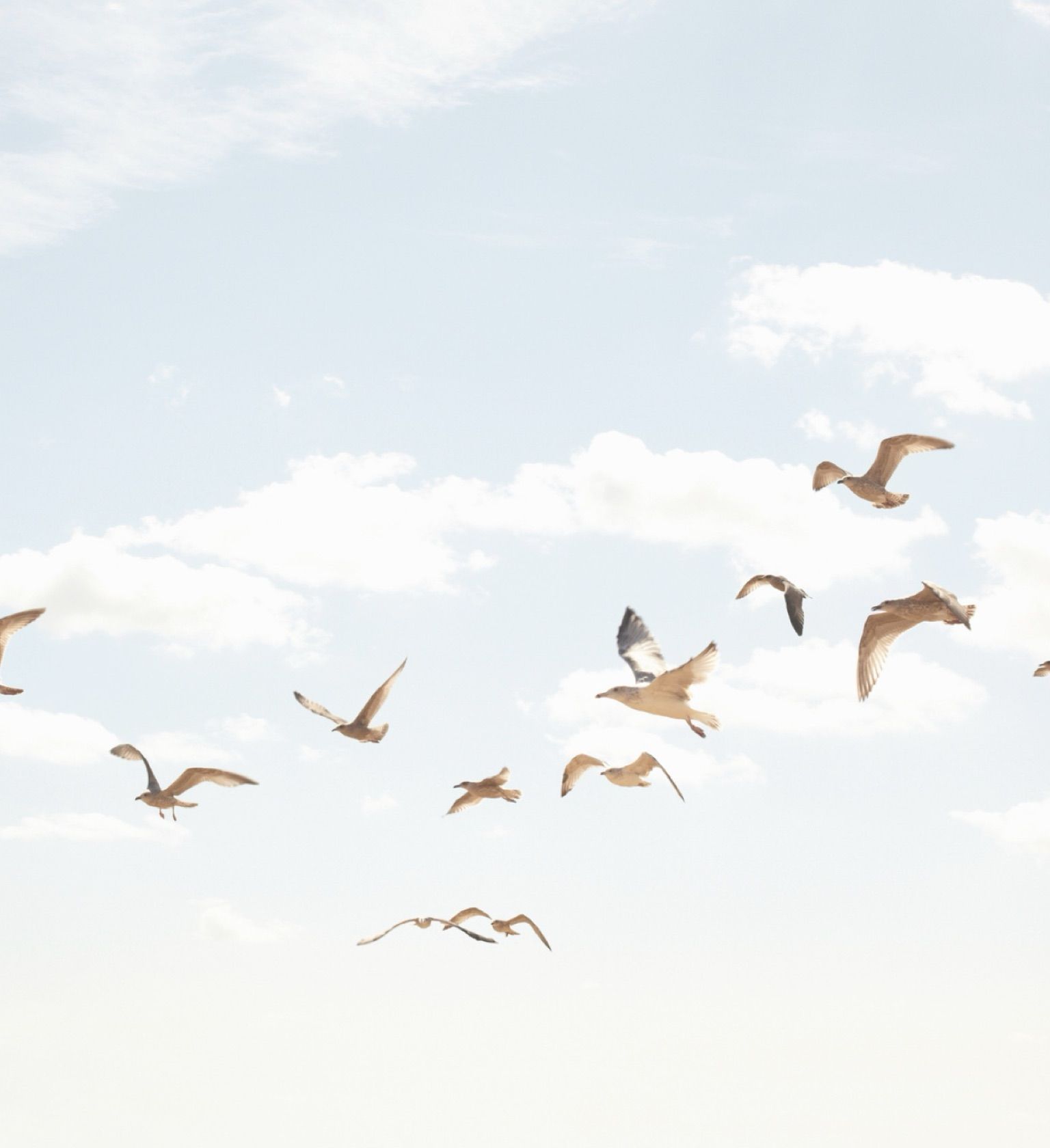 The Art Of The Possible Generative Ai