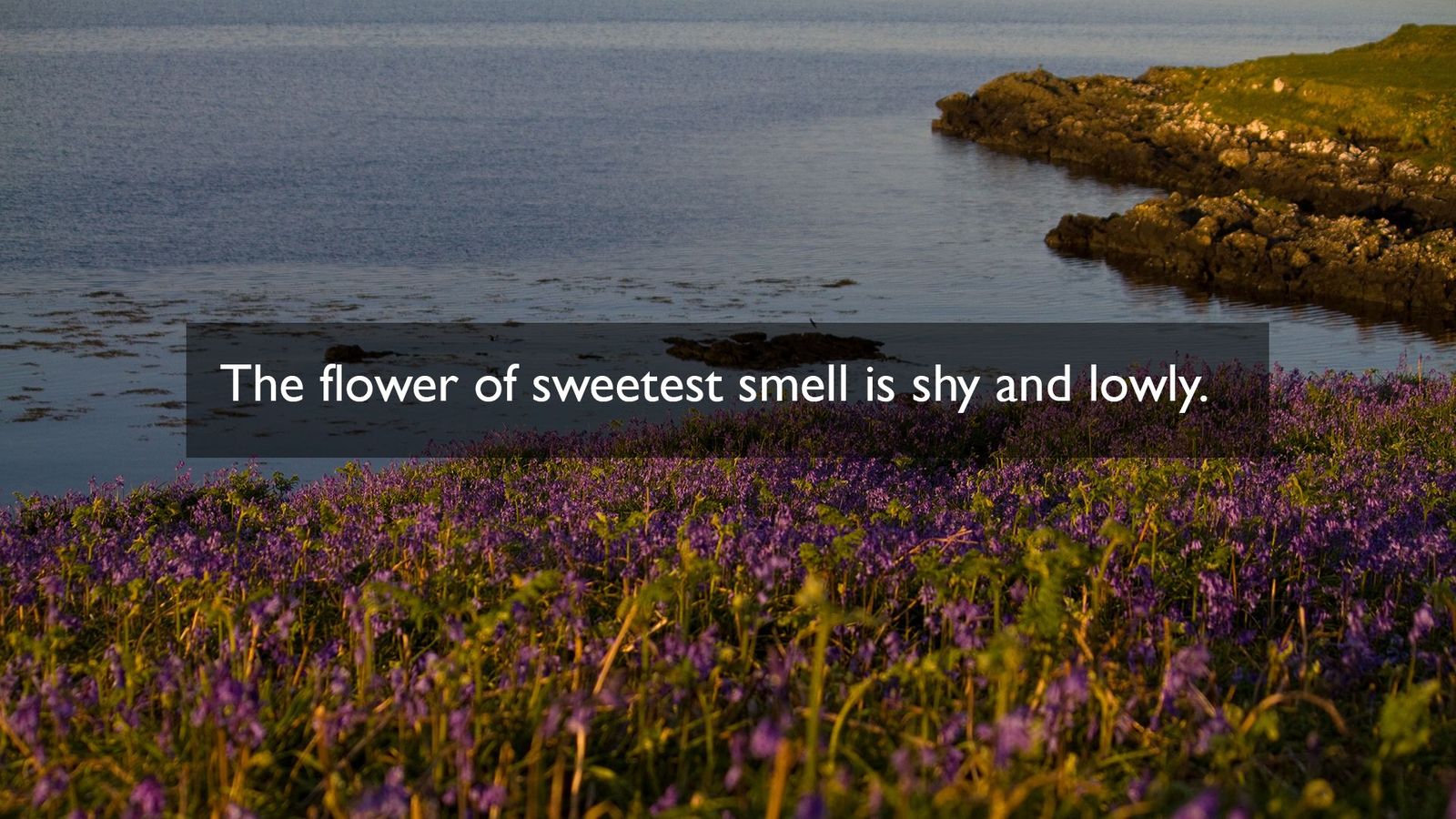 Eight beautiful William Wordsworth quotes on nature - BBC Culture