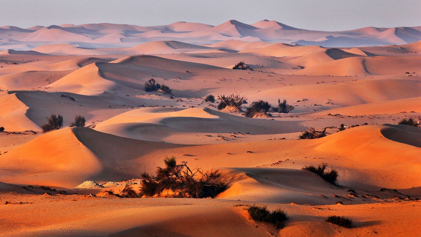 Even desert city Dubai imports its sand. This is why - BBC Worklife