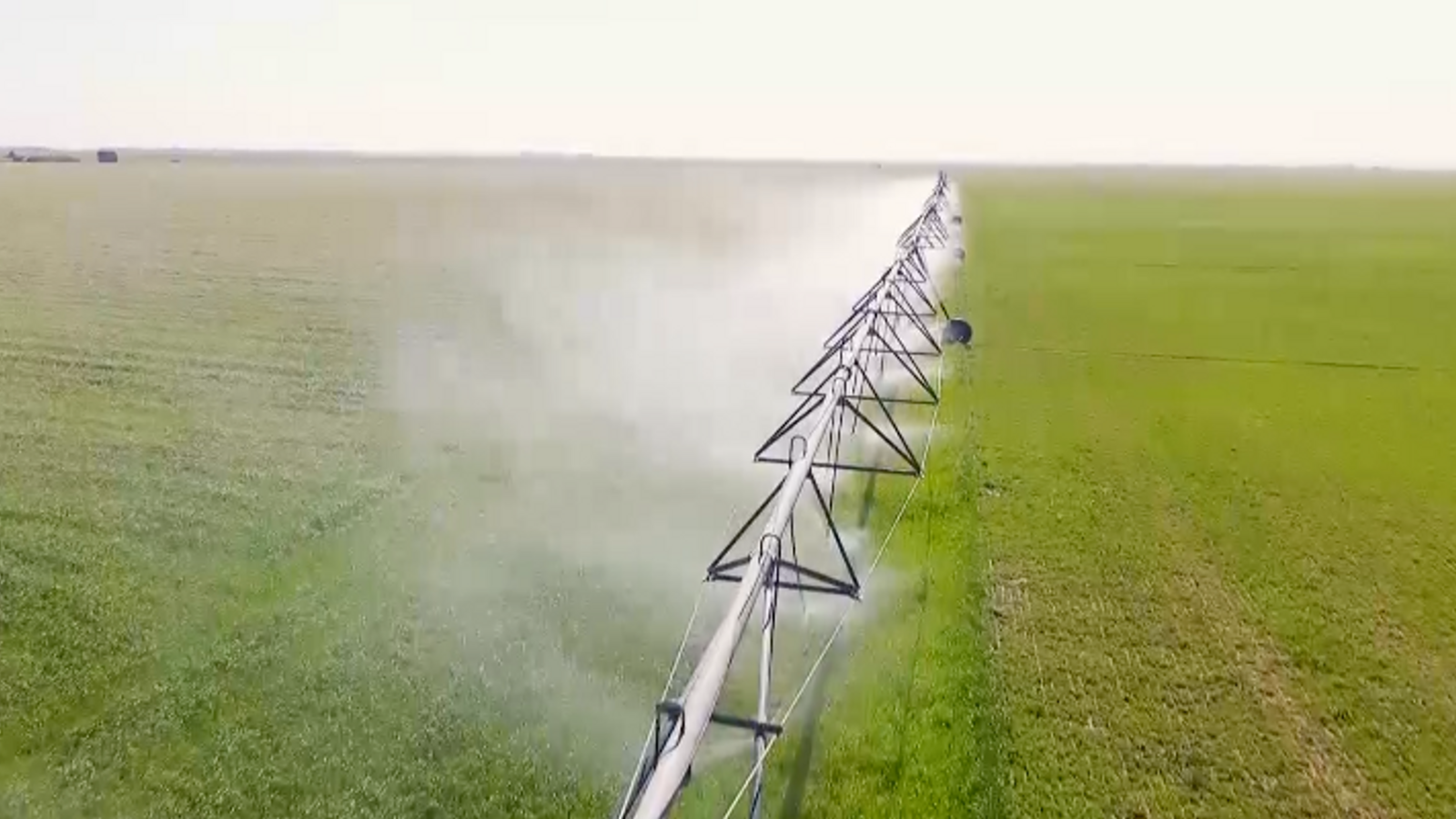 The high-tech farming revolution - BBC Reel