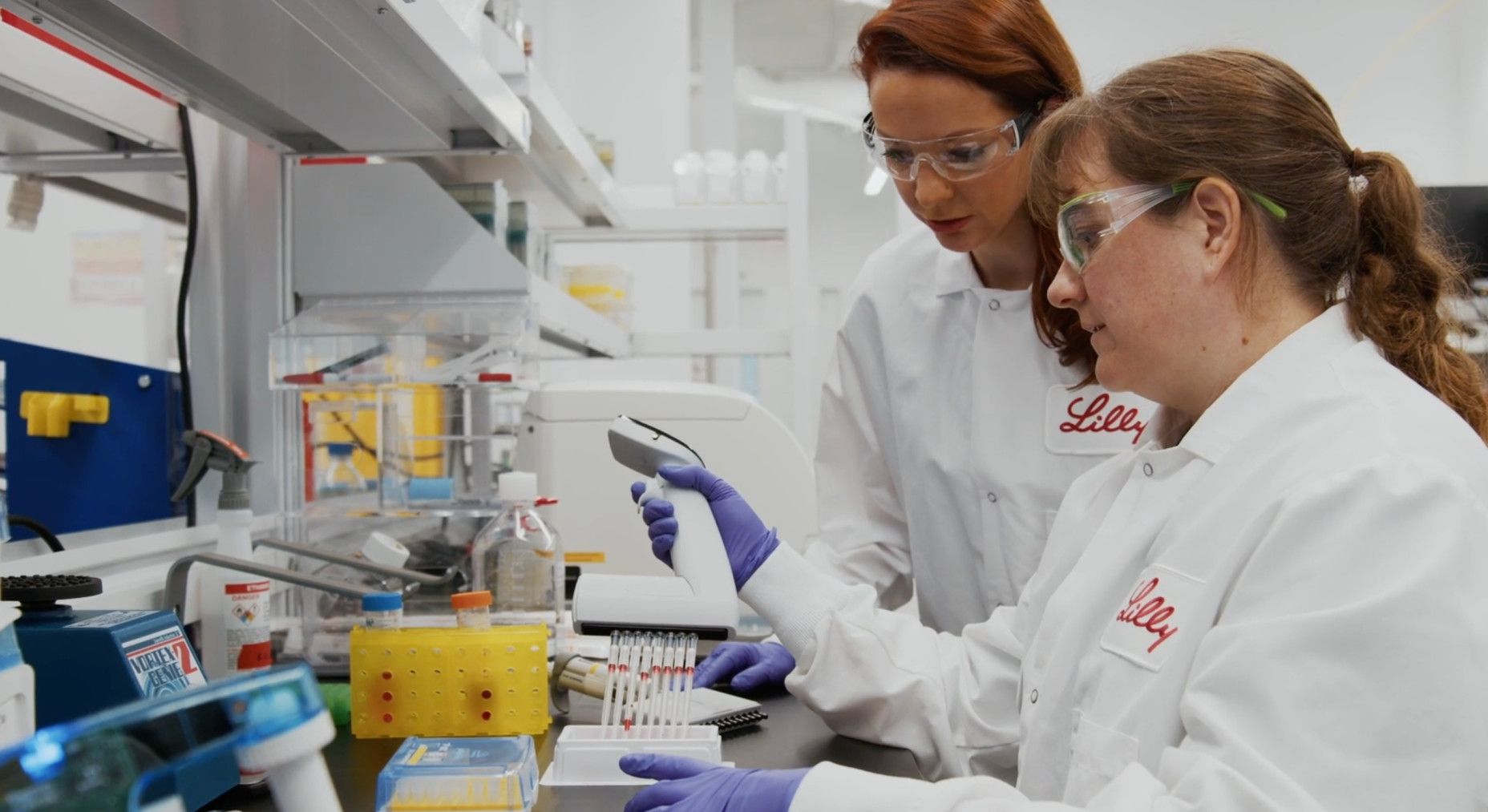 Nature's Building Blocks Series 2