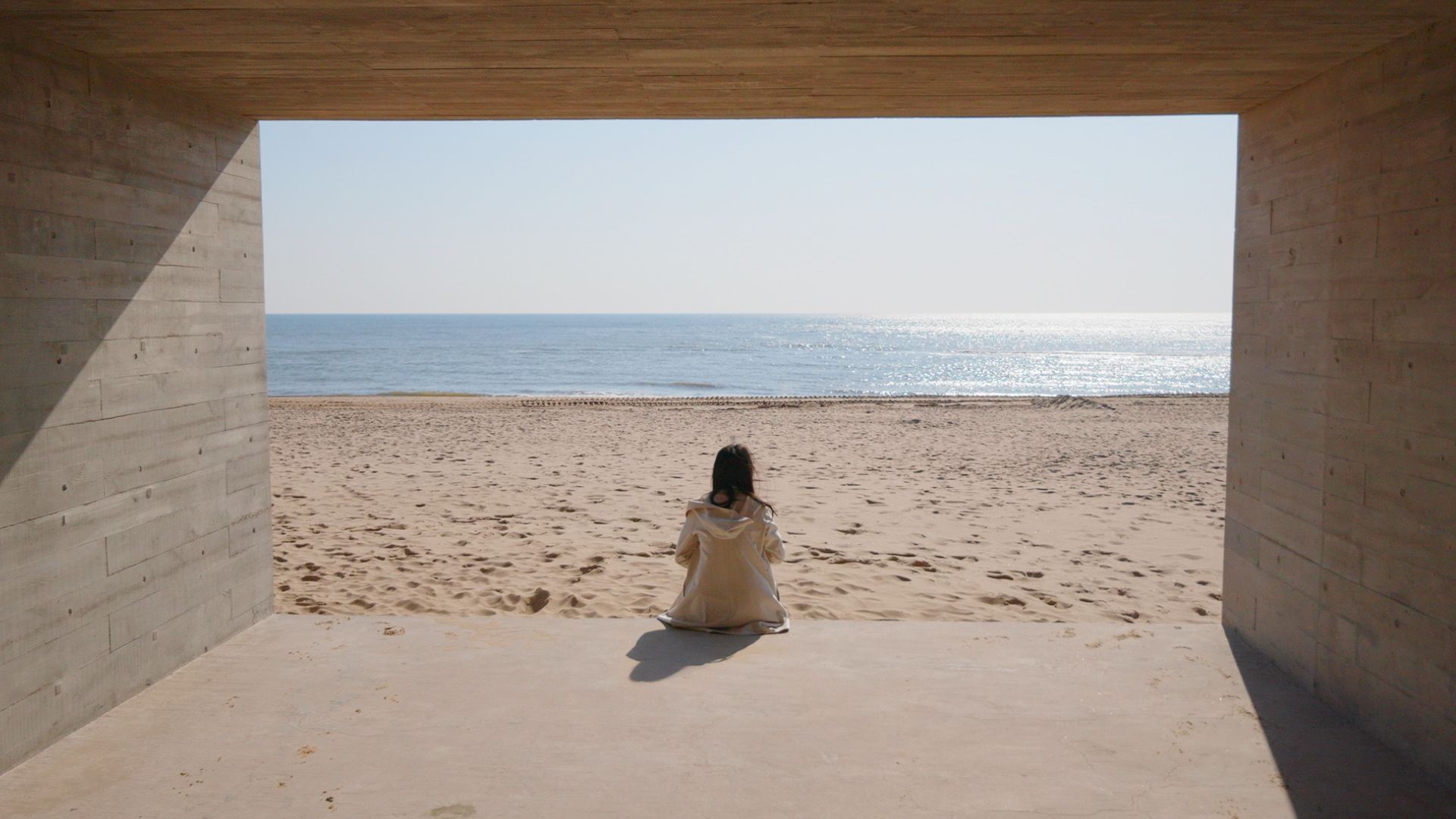 Biblioburro: The amazing donkey libraries of Colombia - BBC Reel