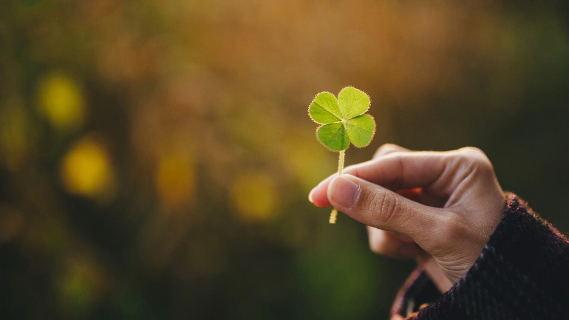 How to fake confidence - BBC Reel