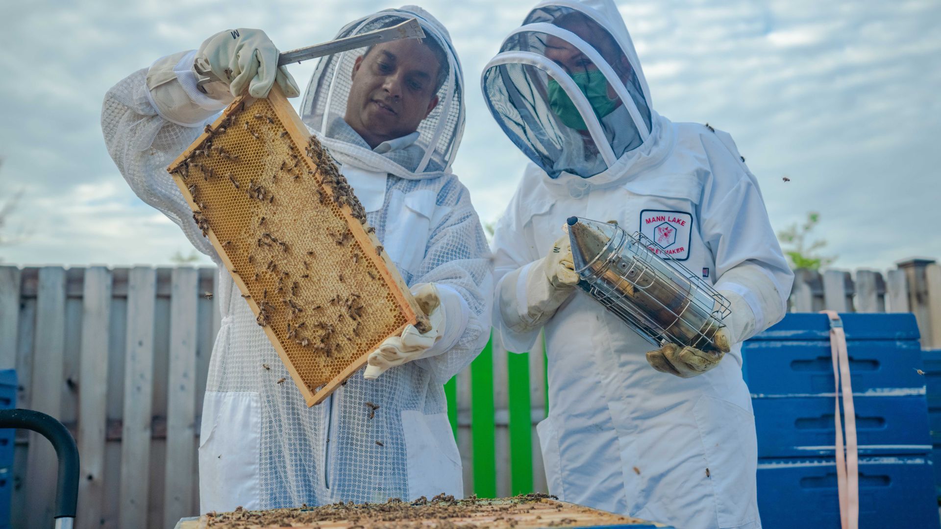 Nature protecting nature - BBC Reel