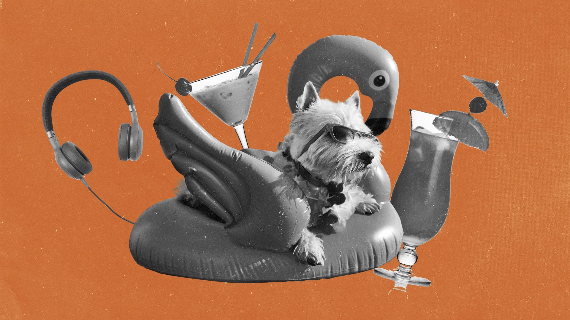 Are these the unluckiest words in the world? - BBC Reel