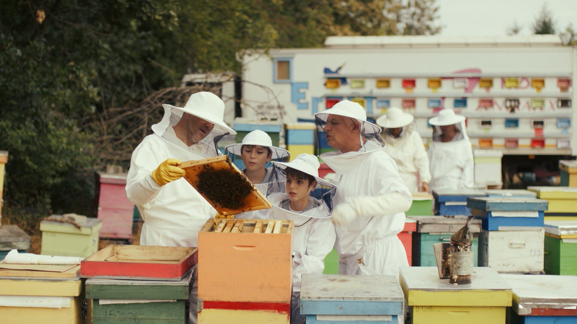The bees receiving European investment